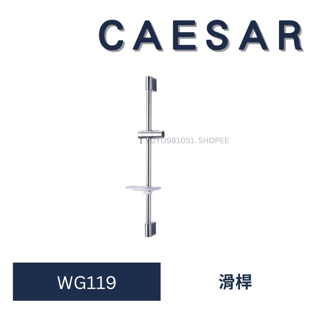 caesar 凱撒 WG119 滑桿 伸降桿 蓮蓬頭架 蓮蓬頭 淋浴龍頭 | 蝦皮購物
