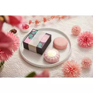 iseecare（健康美一天）, 線上商店 | 蝦皮購物