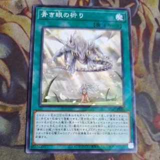 卡片屋 遊戲王 普鑽 青眼的祈禱 SD47-JP018 | 蝦皮購物