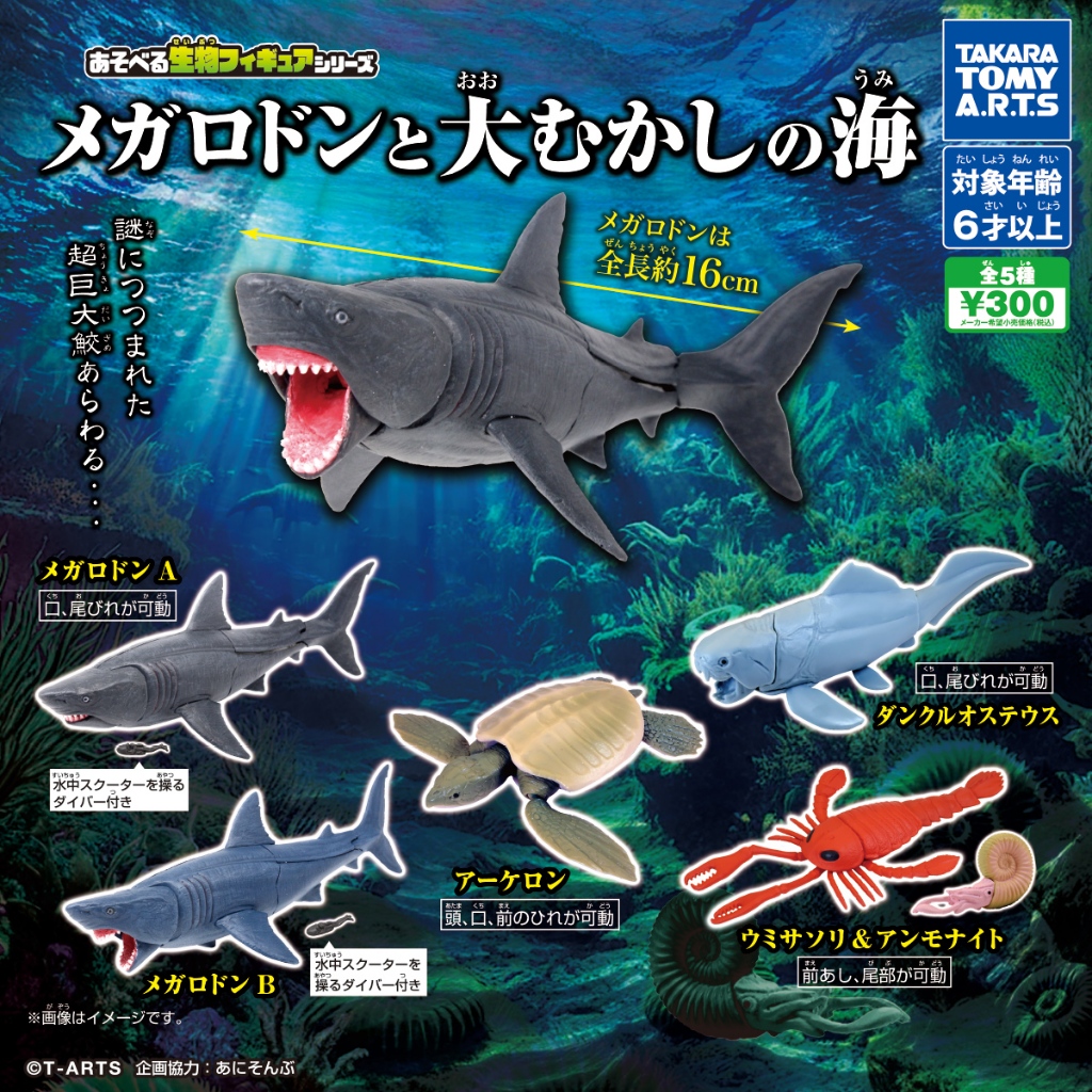 『Vic Toy』扭蛋 日版 TTA 遊玩生物 巨齒鯊與古代海洋 帝亀 古巨亀 鸚鵡螺 板足鱟 廣翅鱟 海蠍 多件優惠 | 蝦皮購物