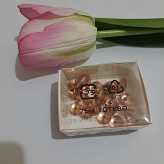 3FF034 IKEA TOTEBO 圖釘 類似玫瑰金 25入 全新 | 蝦皮購物