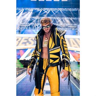 WWE Ultimate Edition Logan Paul Elite 公仔 全新未拆 | 蝦皮購物