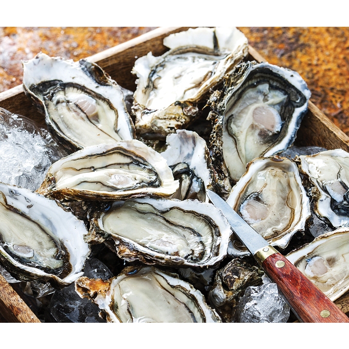 【鮮味】30015-9 生猛半殼韓國生蠔 10打裝 (粒出售) | 蝦皮購物