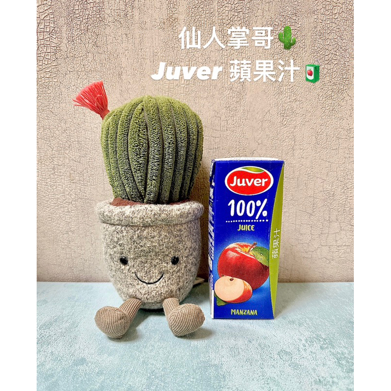 仙人掌哥 好市多 西班牙 Juver 蘋果汁 200毫升 Apple Juice 無香料 鋁箔包 蘋果 果汁 拆售 蝦皮購物
