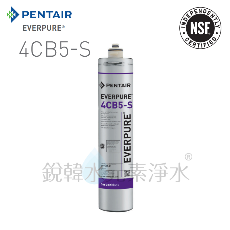 【愛惠浦】EVERPURE 4CB5-S 原廠公司貨 複磷酸鹽軟化水垢+碳棒配方 濾心 銳韓水元素淨水 | 蝦皮購物