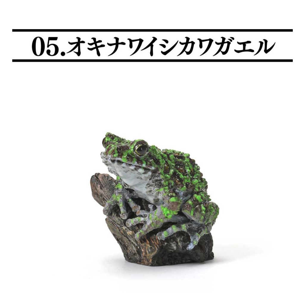 『Vic Toy』扭蛋 轉蛋 日版 萬代 生物大圖鑑 mini 兩生類 01 大鯢 日本樹蛙 日本蟾蜍 志川蛙 單售 | 蝦皮購物