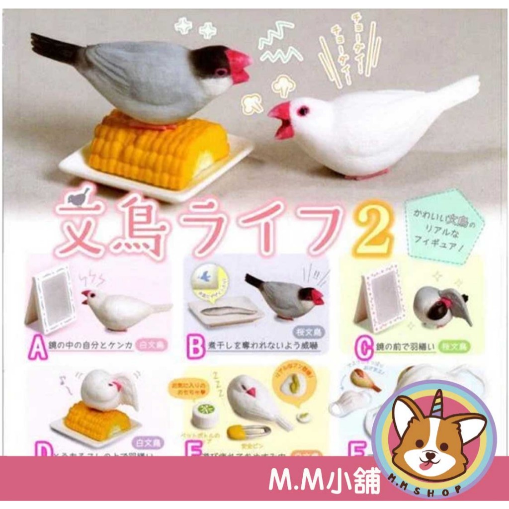【M.M小舖】『現貨』 Tarlin 轉蛋 扭蛋 文鳥的日常生活P2 小鳥 文鳥 日常 生活 公仔 全6款 | 蝦皮購物