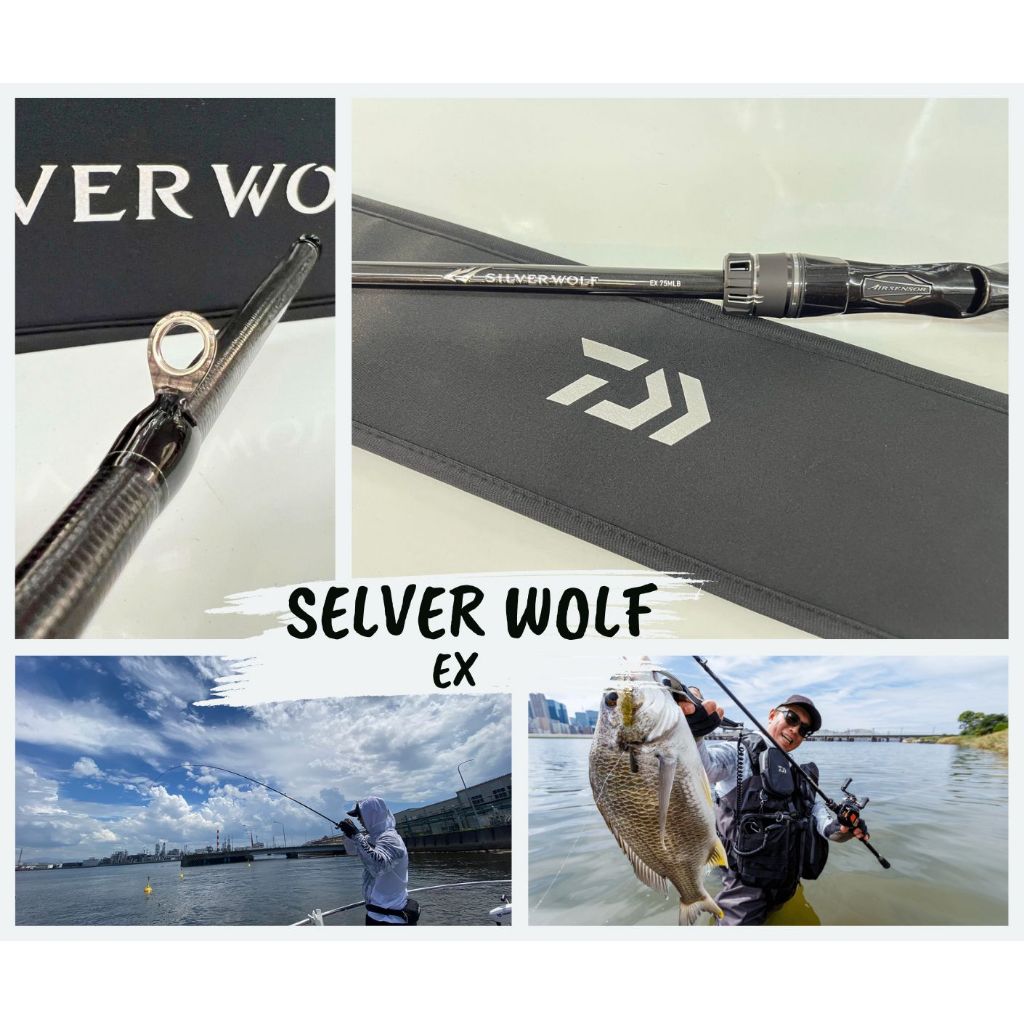 ☆DAIWA SILVERR WOLF EX【海天龍釣具商城】銀狼 銀狼EX 路亞竿 黑鯛竿 旗艦 擬餌 路亞 | 蝦皮購物