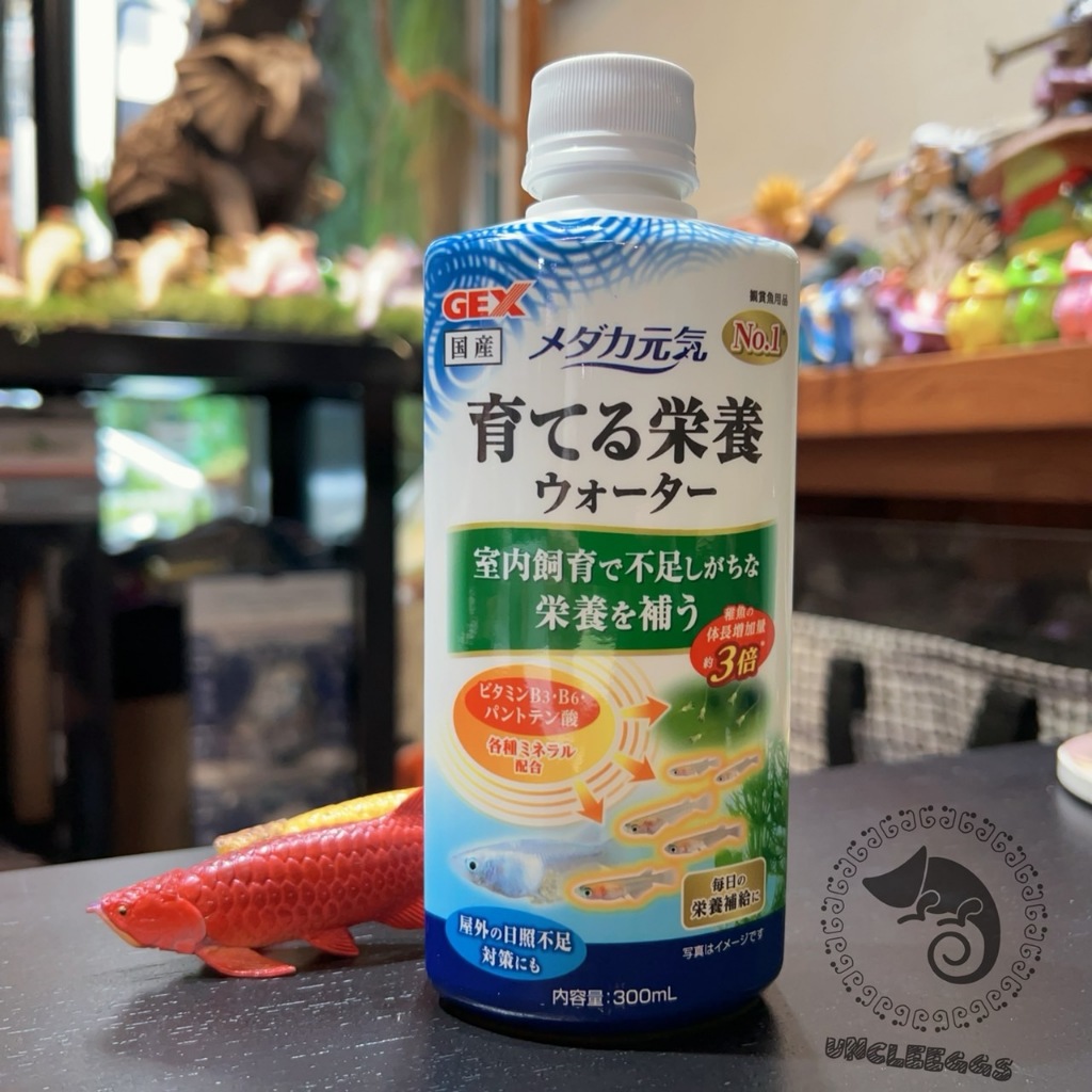 蛋叔叔-GEX幼魚成長營養劑300ml/五味/維他命/免疫力/維生素/高濃縮/繁殖/孔雀魚/龍魚/鬥魚/神仙魚 | 蝦皮購物