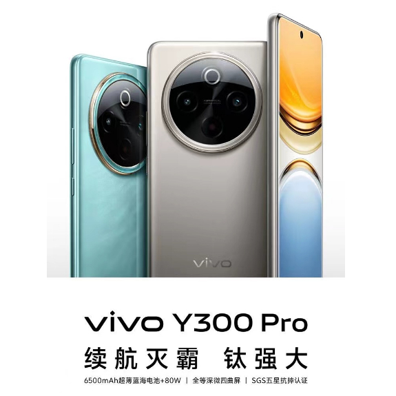 新款上市 VIVO Y300 Pro 續航滅霸 6500mAh超薄電池 驍龍6Gen1 微曲面屏 80W快充 | 蝦皮購物