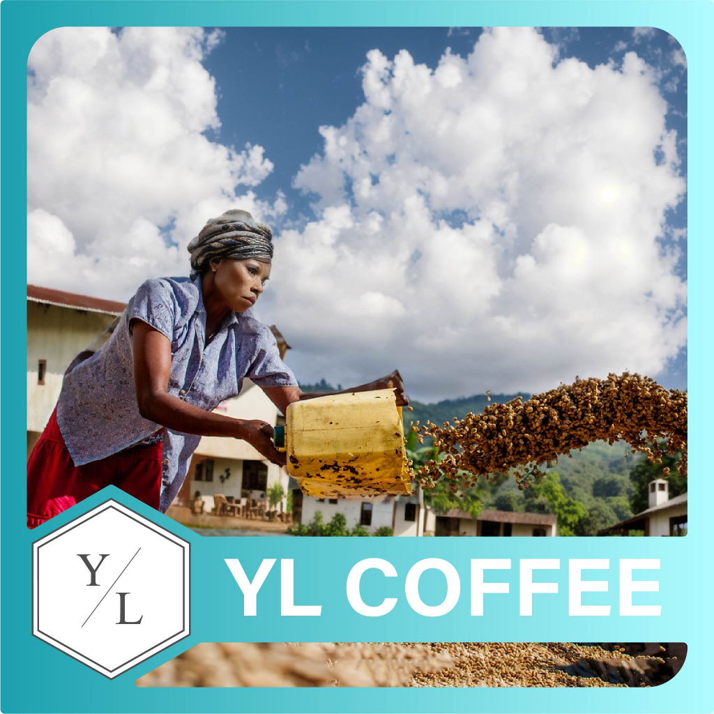 【咖啡友樂】基迪歐酷梅Gedeo Diga Wolisho Kumie︱水湳自烘咖啡近大雅精品咖啡店【濾掛咖啡推薦預購】 | 蝦皮購物