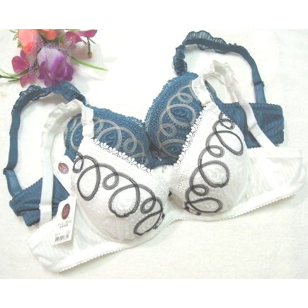 【曼黛瑪璉】峰織美V極線─夜藤蔓刺繡內衣【R62019】~70B,70C~牙白,藍 | 蝦皮購物