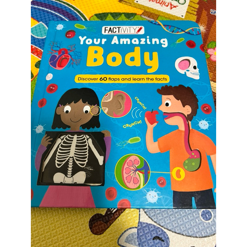 Your Amazing Body: Discover 60 Flaps and Learn the Facts二手 | 蝦皮購物