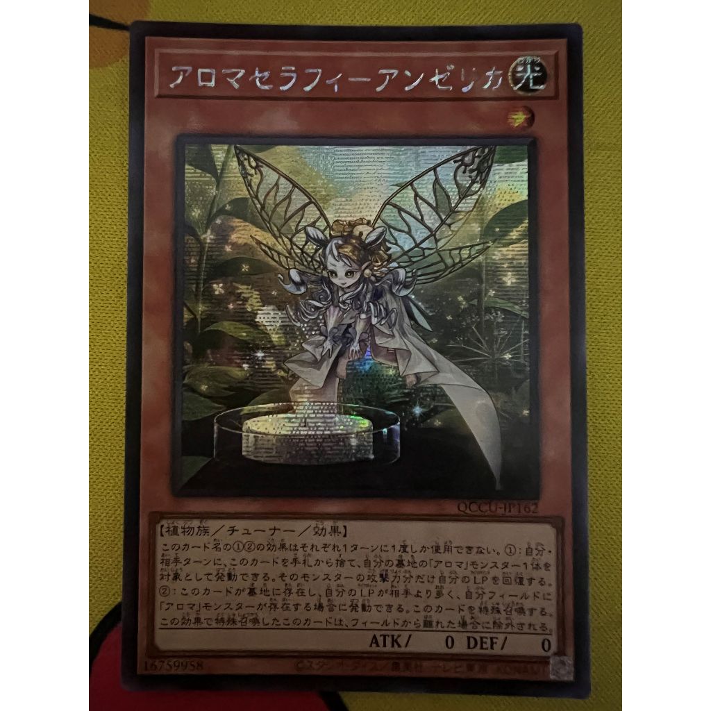 QCCU-JP162 芳香熾天使 歐白芷(半鑽) | 蝦皮購物