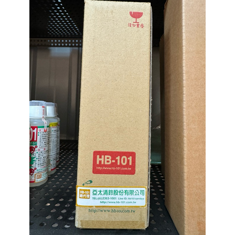 鹿角蕨/觀葉植物/HB101 | 蝦皮購物