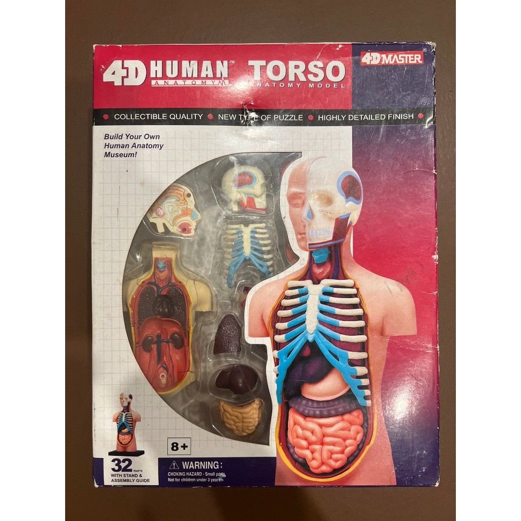 4D MASTER HUMAN TORSO 身體器官 全身內臟模型 NO.26051 | 蝦皮購物