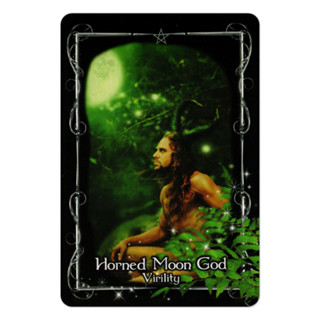 【預馨緣塔羅鋪】現貨正版月巫魔法占卜卡Witches’ Moon Magick Oracle(全新48張) | 蝦皮購物