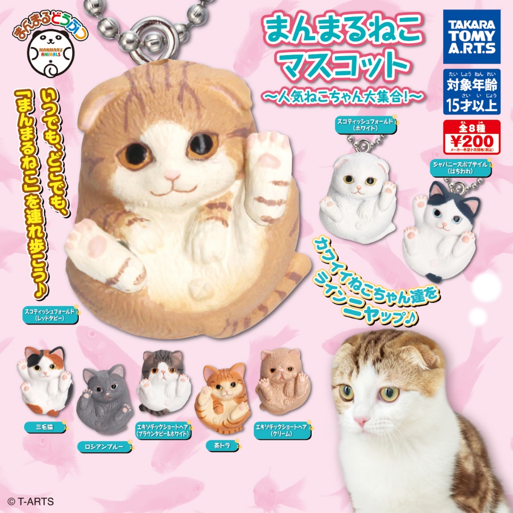 「Vic Toy」扭蛋 轉蛋 現貨 T-ARTS 圓滾滾貓咪 人氣貓大集合 玩具 吊飾 單售 | 蝦皮購物