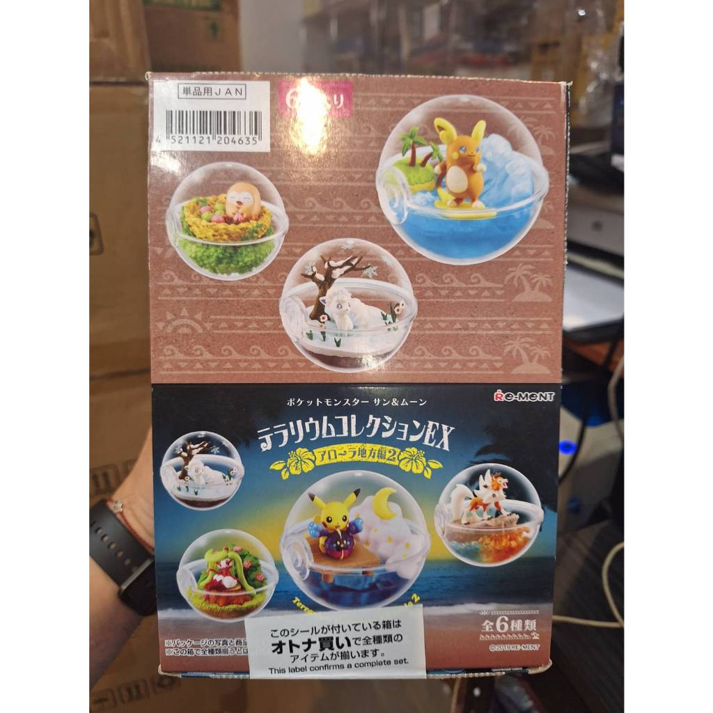 (塔比樂玩具) Re-MeNT 盒玩 神奇寶貝 盆景品EX 阿羅拉地方篇2 1中盒 生態球 精靈球 | 蝦皮購物
