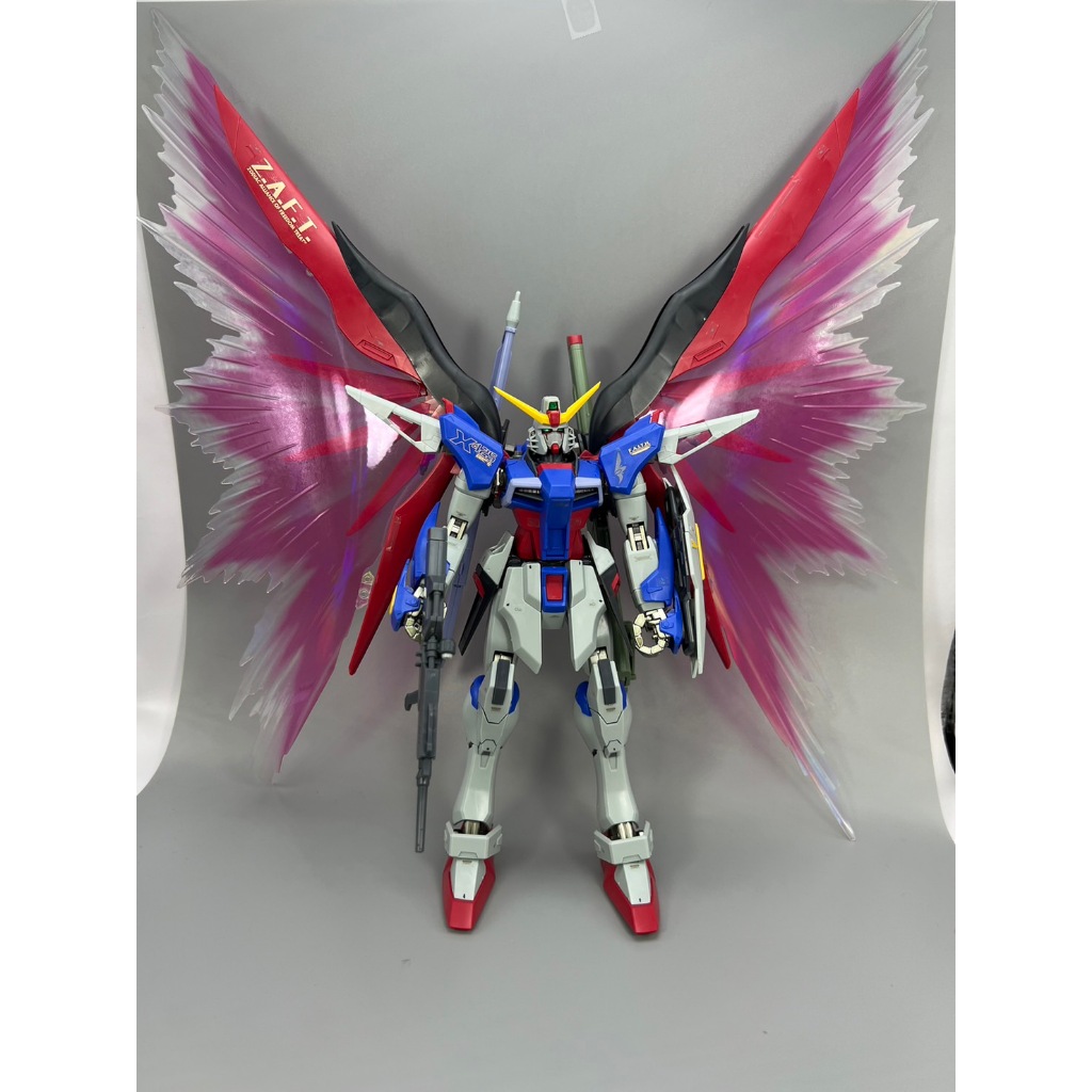 F238【模型出櫃】MG 命運鋼彈 光之翼 特別豪華版 鋼彈 Seed Destiny | 蝦皮購物