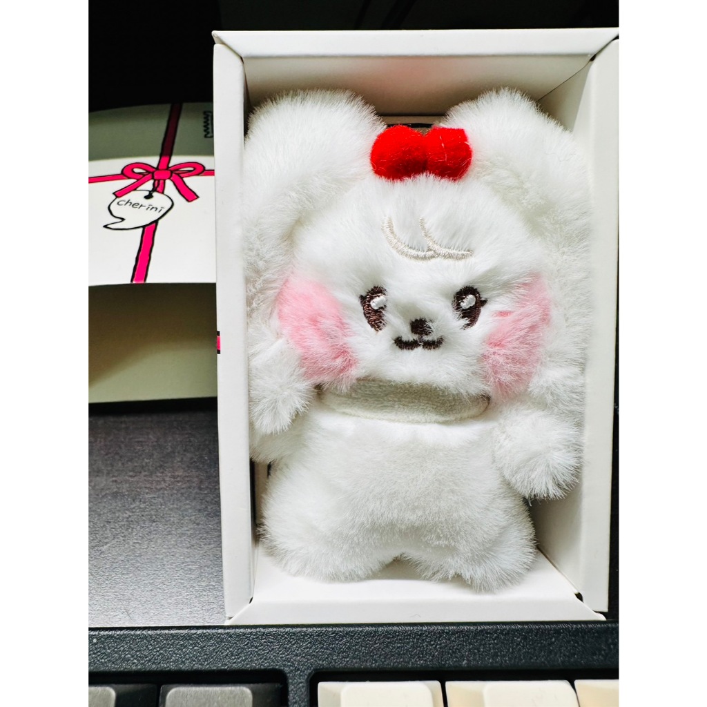 IVE minive minini MM PLUSH 娃娃 Yujin 兪真 Wonyoung 員瑛 | 蝦皮購物