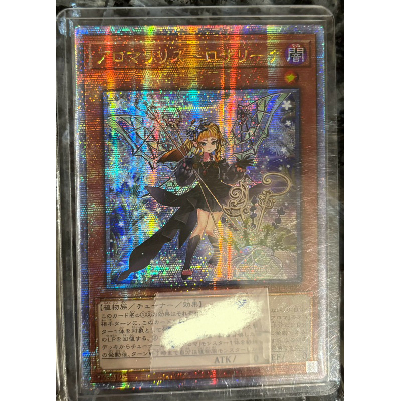 遊戲王 1203 PHNI-JP022 芳香魔女 沼澤白千層 金鑽 韓紙 抽到即防護 | 蝦皮購物