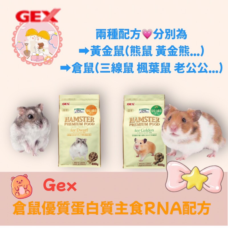 可可鼠圈圈 GEX免疫力倉鼠糧 RAN 配方倉鼠糧 主食 黃金鼠 熊鼠 三線鼠 | 蝦皮購物