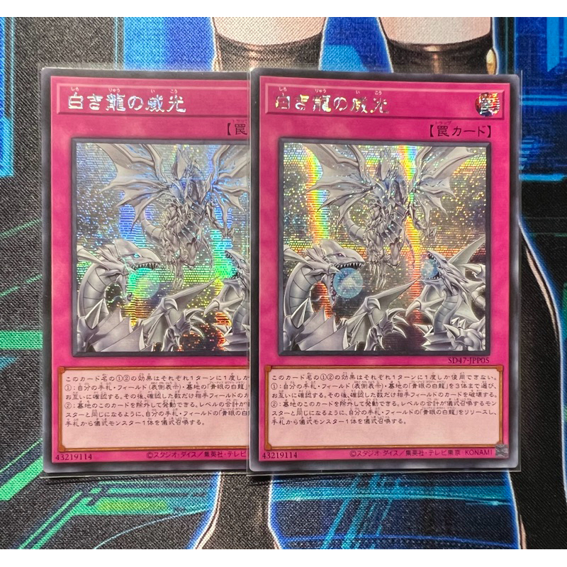 《JIA》遊戲王 SD47-JPP05 白之龍的威光 (韓紙半鑽) | 蝦皮購物