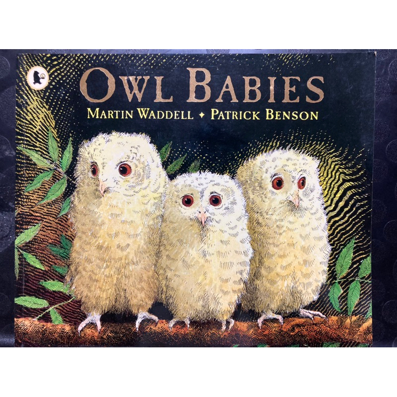 兒童英文童書繪本 Owl Babies Walker Books 畫風精美，充滿童趣 作者Martin Waddell著 | 蝦皮購物