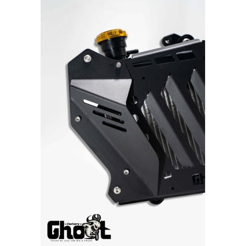 Ghost 古斯特 B8R 水冷 勁戰 BWS AUGUR FORCE 2.0 Nmax 不鏽鋼烤漆 導風 水箱罩 | 蝦皮購物