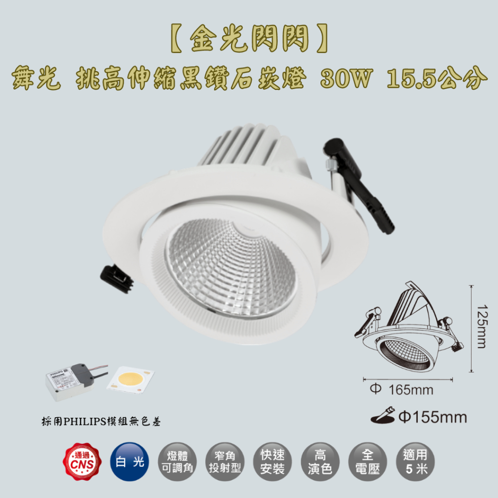 【金光閃閃】舞光 挑高 伸縮黑鑽石崁燈 30W 15.5公分 崁燈 LED大瓦數崁燈 高演色 防眩光學不刺眼 | 蝦皮購物