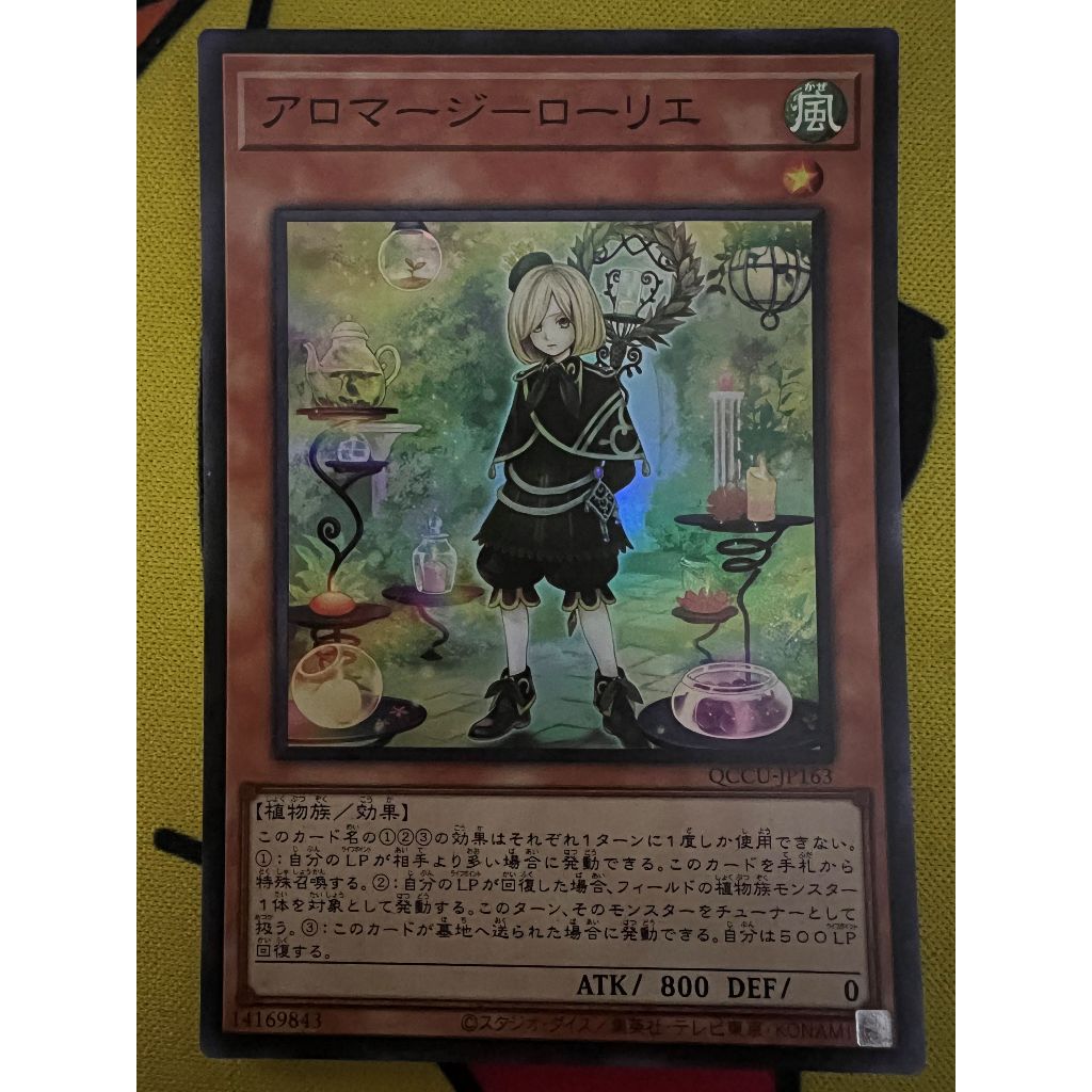 QCCU-JP163 芳香法師 月桂葉(亮面) | 蝦皮購物