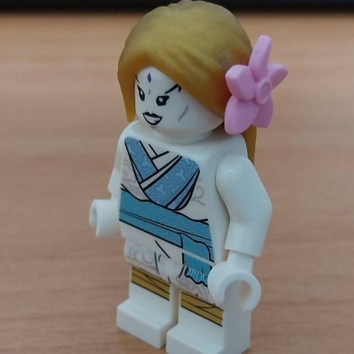 LEGO 71722 人偶 71722 Princess Vania 旋風忍者 | 蝦皮購物