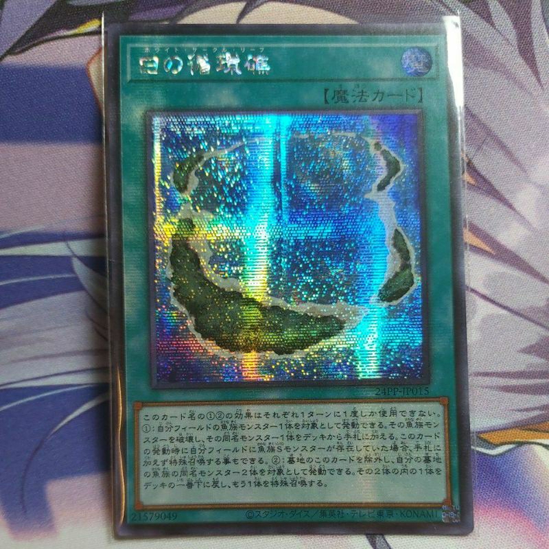 遊戲王 24PP-JP015 白之循環礁 半鑽 | 蝦皮購物