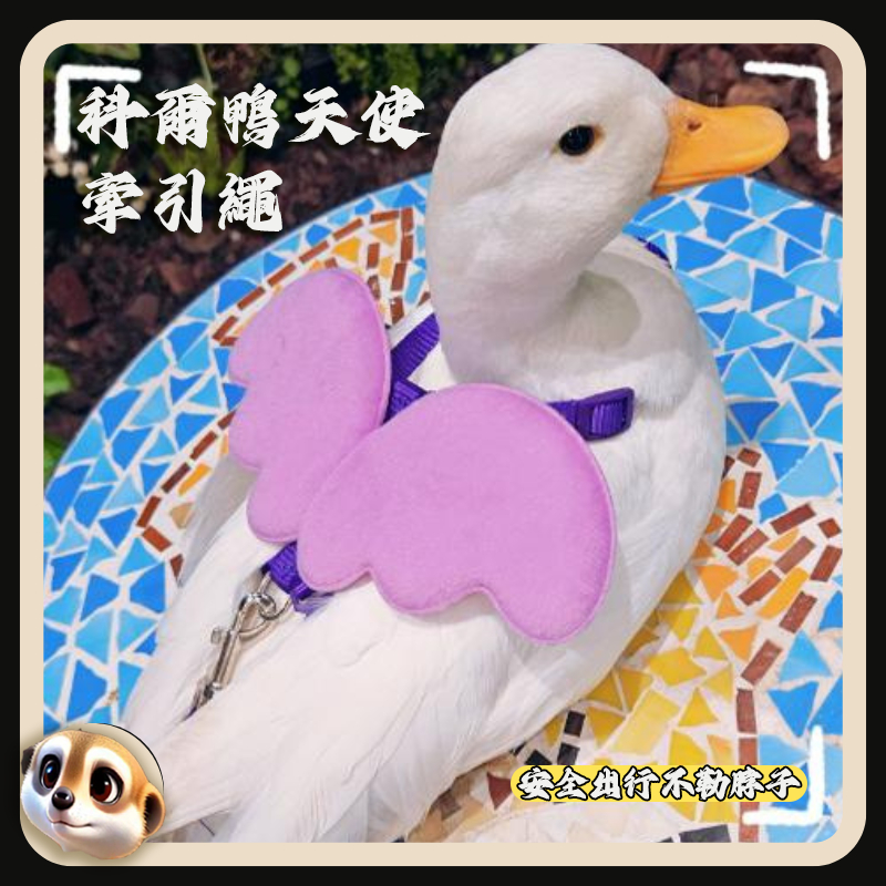 【XL-LX】現貨 科爾鴨牽引繩 遛鴨繩 科爾鴨胸背 胸背式牽引繩子 小寵用品 天使牽引繩 | 蝦皮購物