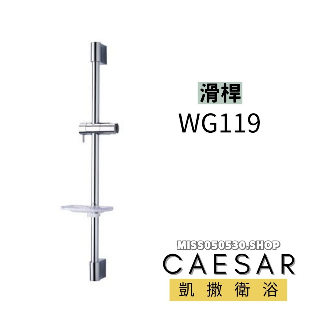 Caesar 凱撒衛浴 WG119 滑桿 可調整 SPA淋浴用 升降滑桿組 蓮蓬頭滑桿 不鏽鋼 滑桿 把手滑桿 把手掛鉤 | 蝦皮購物