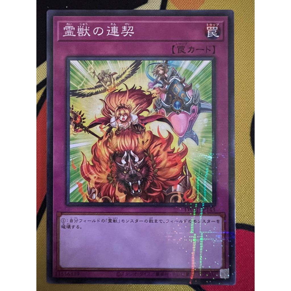 TW01-JP143 靈獸的連契(普卡全鑽) | 蝦皮購物