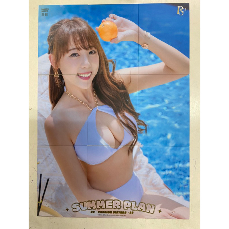 🔥現貨🔥 2023 Passion Sisters 中信兄弟啦啦隊 白白 夏日繽紛泳裝拼圖卡 全套9張 超難湊 | 蝦皮購物