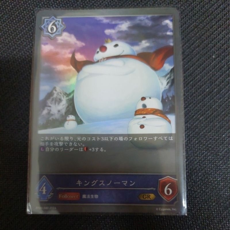 SVE BP09-040 GR 卡 牌 收藏 闇影詩章 | 蝦皮購物