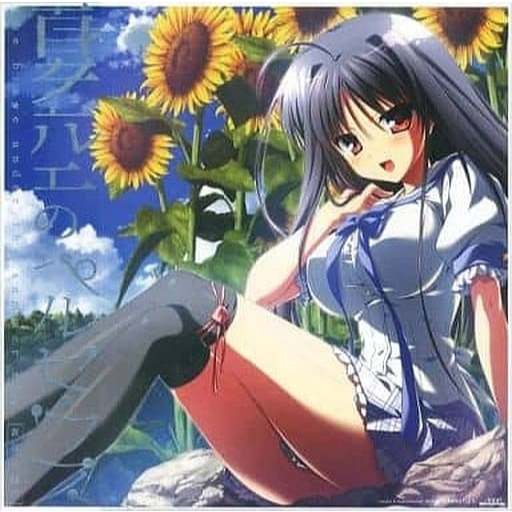 夏空のペルセウス 豪華版 minori PC galgame | 蝦皮購物