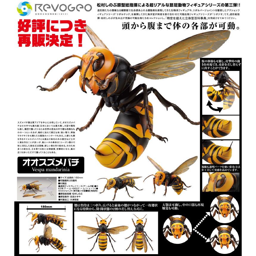 全新【海洋堂 山口式輪轉 REVO GEO Vol.3 大虎頭蜂】(現貨全新未拆) | 蝦皮購物