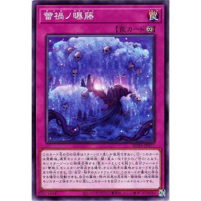 “掏狗卡舖” 1206 ROTA JP077 蕾禍的曝藤 三張一套 牌料 新卡 | 蝦皮購物