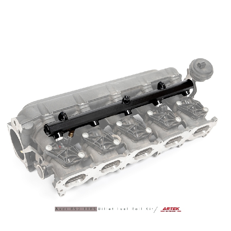 ARTEK AUDI RS3 / TTRS DAZA 鍛造燃油軌 Billet fuel Rail Kit 【YG】 | 蝦皮購物