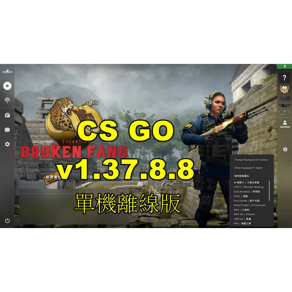 【CS GO】v1.37.8.8版號 全皮膚自由切換 繁體中文版 W10、W11可玩 可離線遊玩 與AI電腦對戰 🐱貓神 | 蝦皮購物