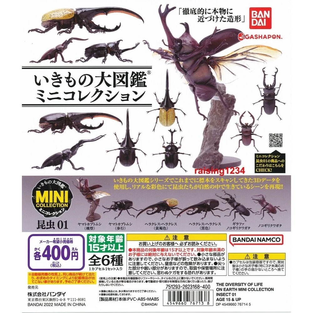 「Vic Toy」現貨 扭蛋 轉蛋 BANDAI 生物大圖鑑 昆蟲 01 昆蟲 鍬形蟲 獨角仙 單售 | 蝦皮購物