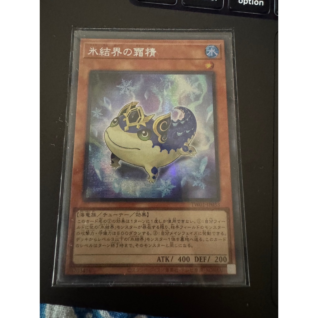 夏洛特卡舖 遊戲王 美品 TW01-JP033 冰結界的霜精 (半鑽) | 蝦皮購物