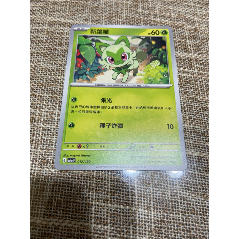 （小熊玩具）寶可夢 中文版 新葉喵 004/073 sv4a 012/190 普卡 | 蝦皮購物