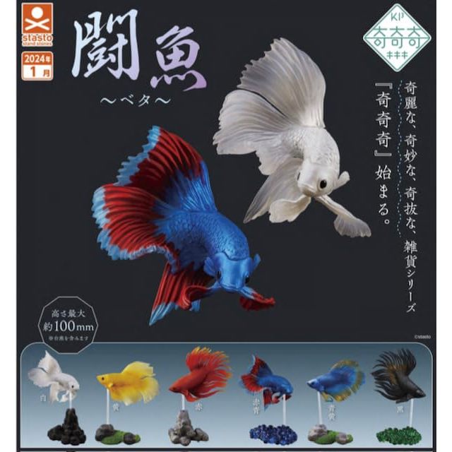 「Vic Toy」現貨 扭蛋 轉蛋 stasto 鬥魚~Betta~ 奇奇奇 魚 觀賞 公仔 單售 | 蝦皮購物