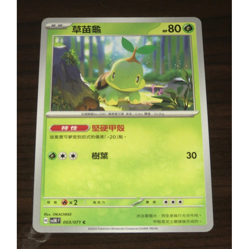 寶可夢PTCG 中文版 狂野之力sv5K 草苗龜 003/071 C | 蝦皮購物