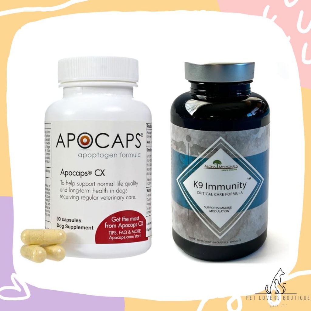 美國 Apocaps 癌破錠 k9 免疫力 癌症腫瘤輔助食品 | 蝦皮購物